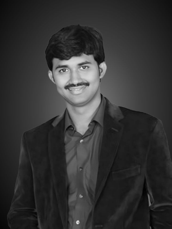 RamanaSoft Consulting Services